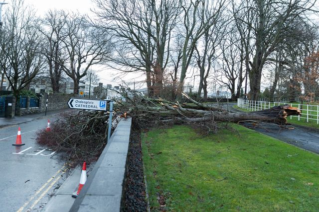 Pictures show the aftermath of Storm Isha in Sligo as clean-up is ...