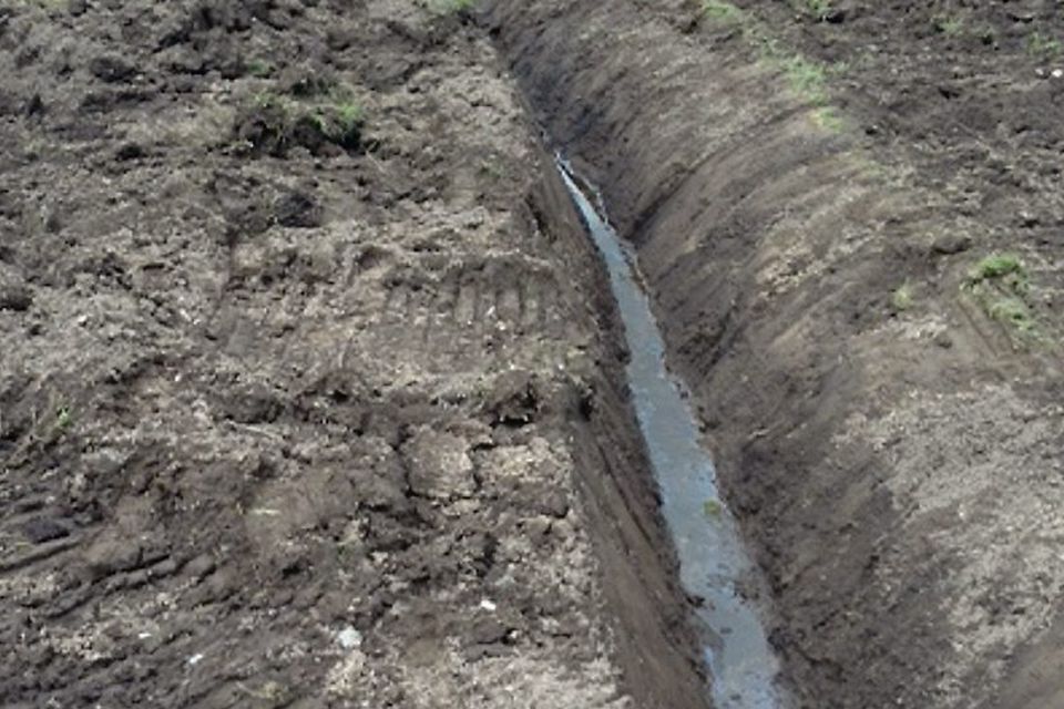 Sheep: Drainage has made an amazing difference | Irish Independent