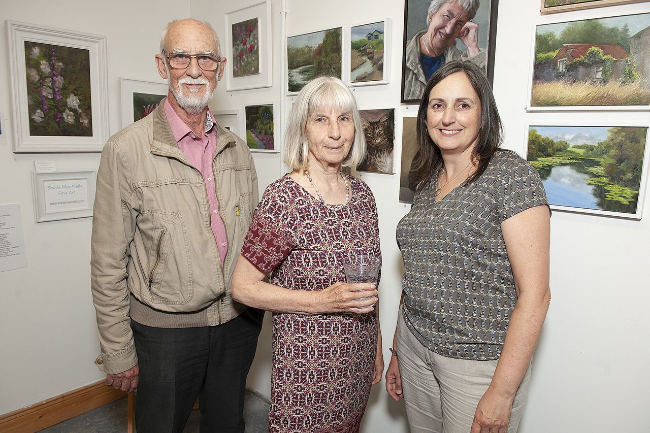 Gorey Art Collective exhibition of resident artists | Irish Independent