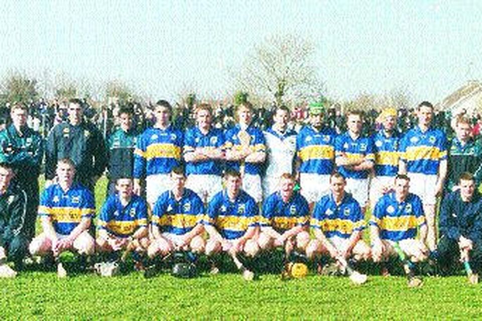 Allianz National hurling League | Irish Independent