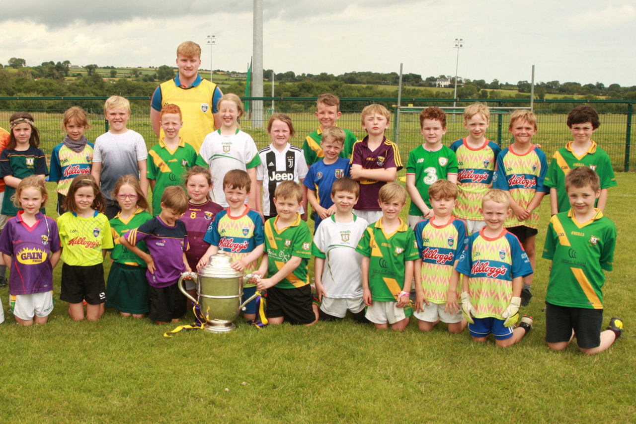 Around the districts: Ballycanew, Ballygarrett, Kilmuckridge, Monamolin ...