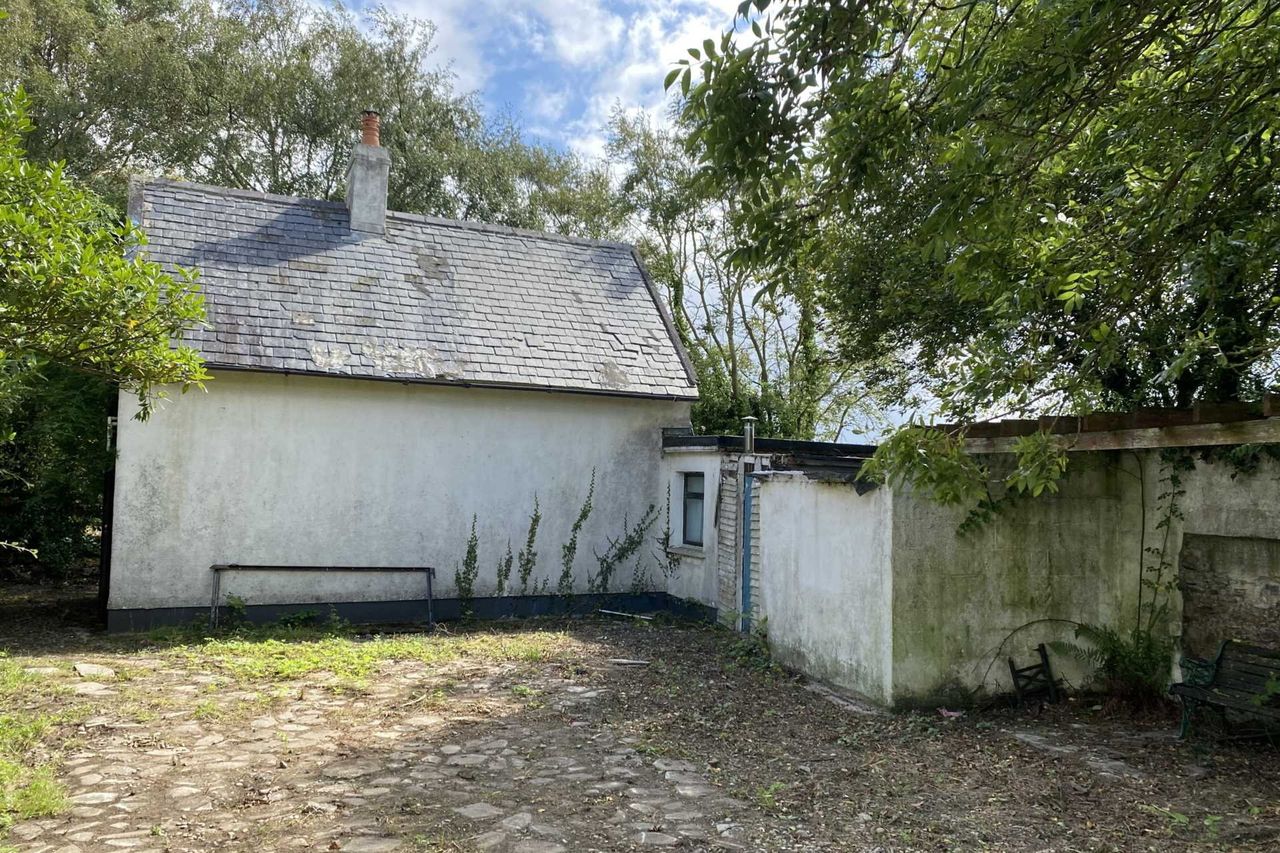Charming rural Enniscorthy cottage to be auctioned | Irish Independent