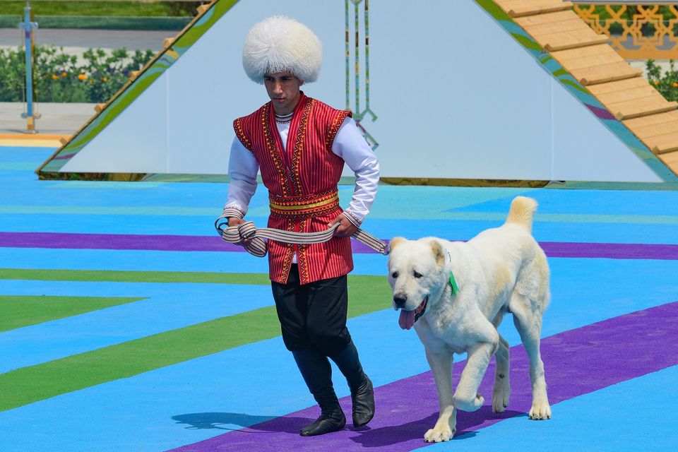 Turkmenistan marks state holiday honouring its native dog breed | Irish ...