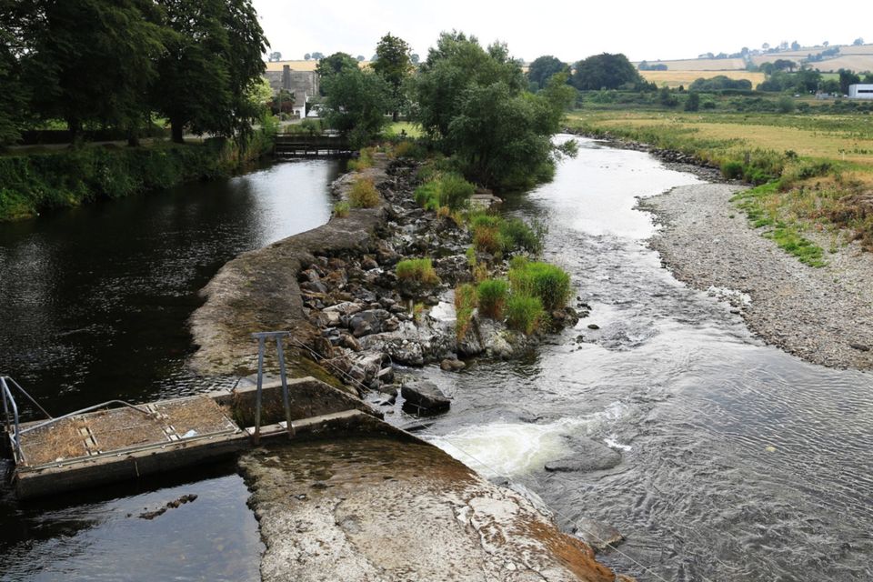 New project aims to prevent trapped fish at Clohamon | Irish Independent