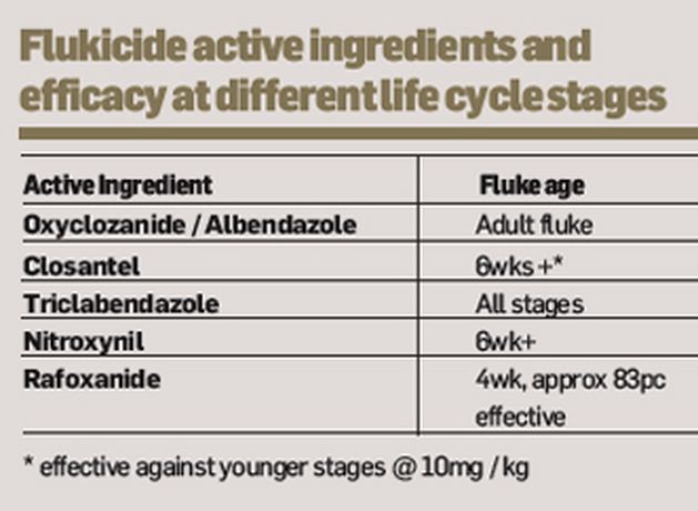 Target your flukicides | Irish Independent