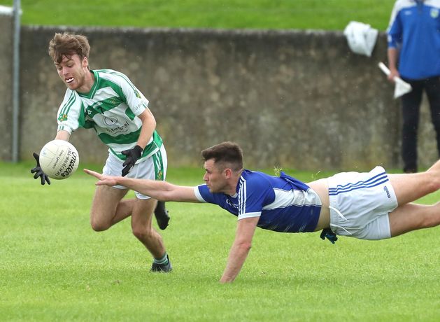 LOUTH GAA | Hollywood Developments Division 2 round-up | Irish Independent