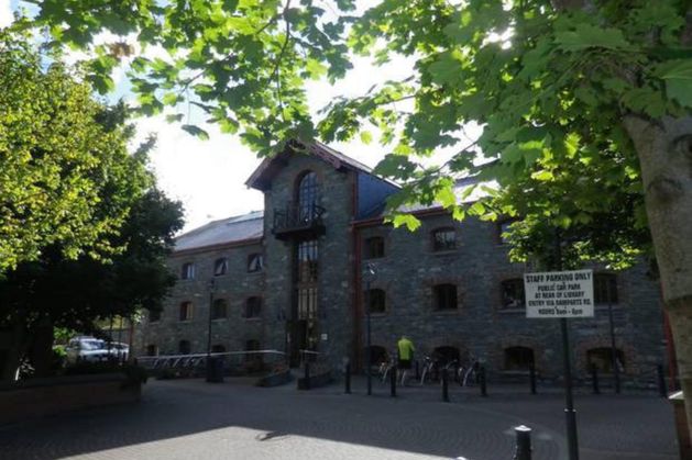 Outdoor pod and sensory garden among plans for Dundalk Library and ...