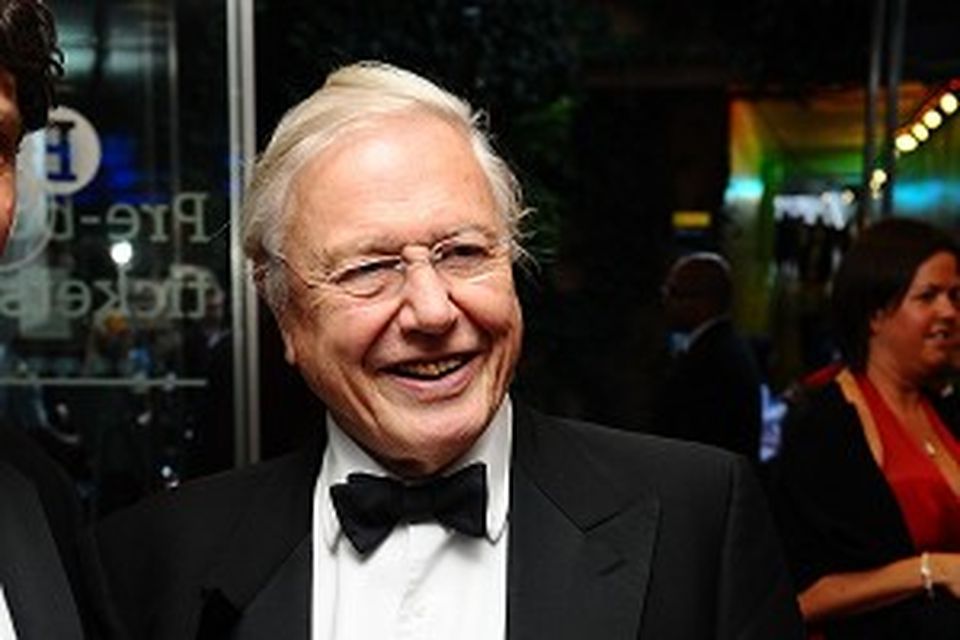 Attenborough 'enchanted' by Bjork | Irish Independent