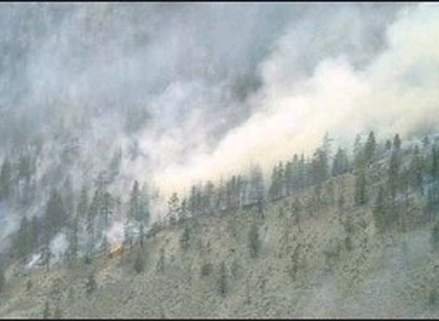 24 hectares damaged in forest fires | Irish Independent