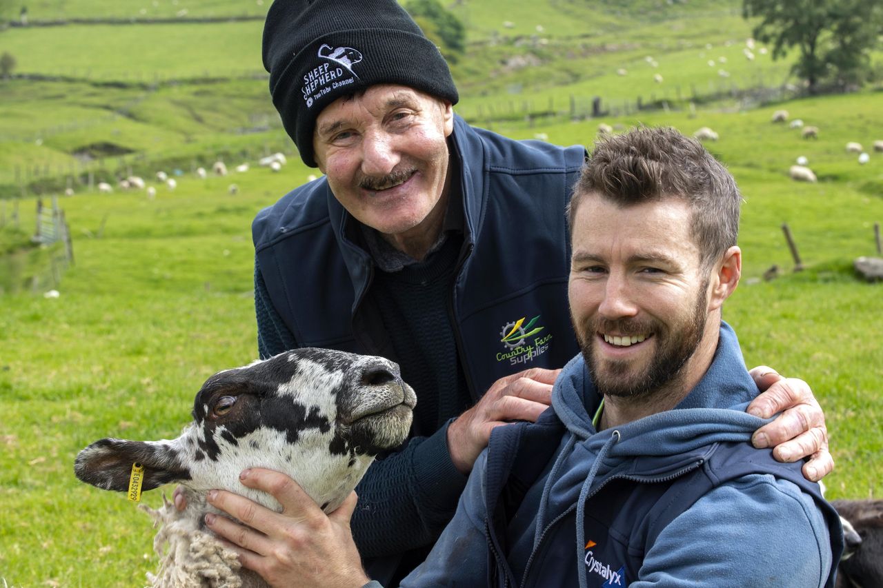 Glyn Egan: Dad mightn't like it, but here’s why we're switching to mule ...