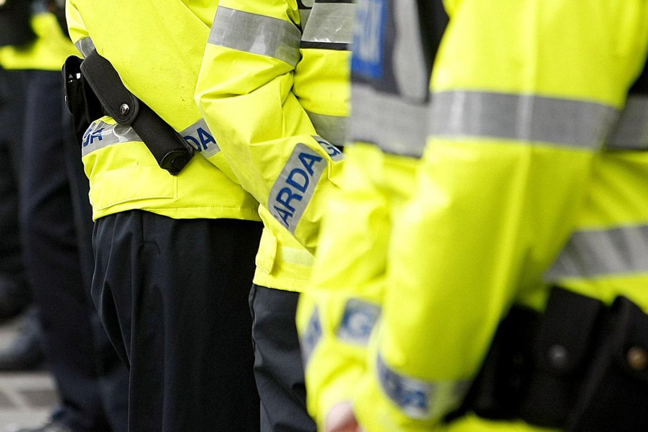 Calls for Government to fill 'major gaps' in garda force | Irish ...