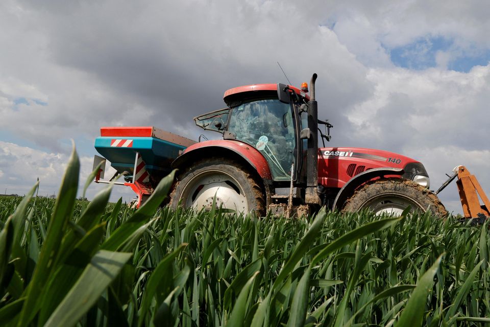 US nitrogen exports jump as Europe scrambles for fertilizer | Irish ...