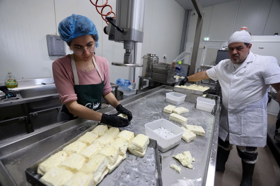 In Cyprus Halloumi war, an ex-pilot champions the old ways | Irish ...