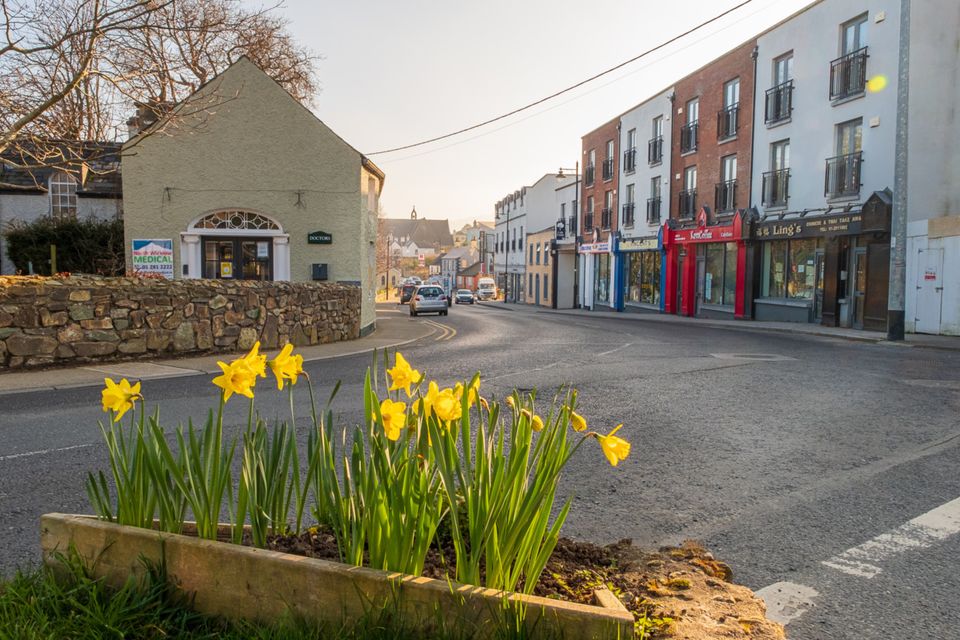 Street furniture and new trees on the cards for Newtown | Irish Independent