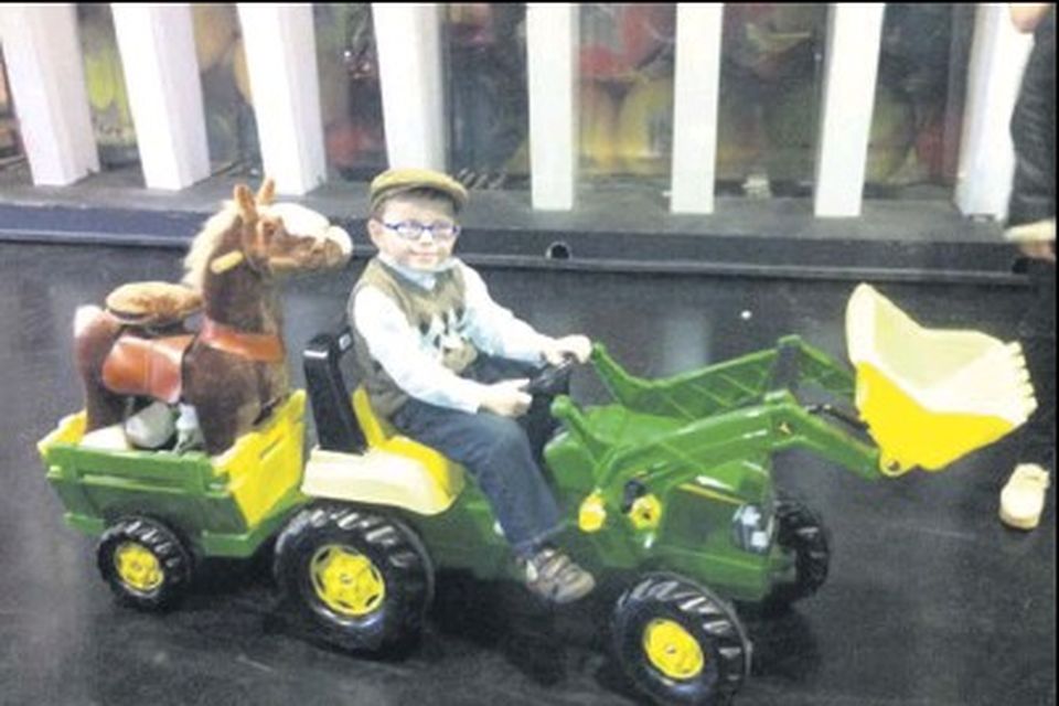 Alex in driving seat on Toy Show | Irish Independent