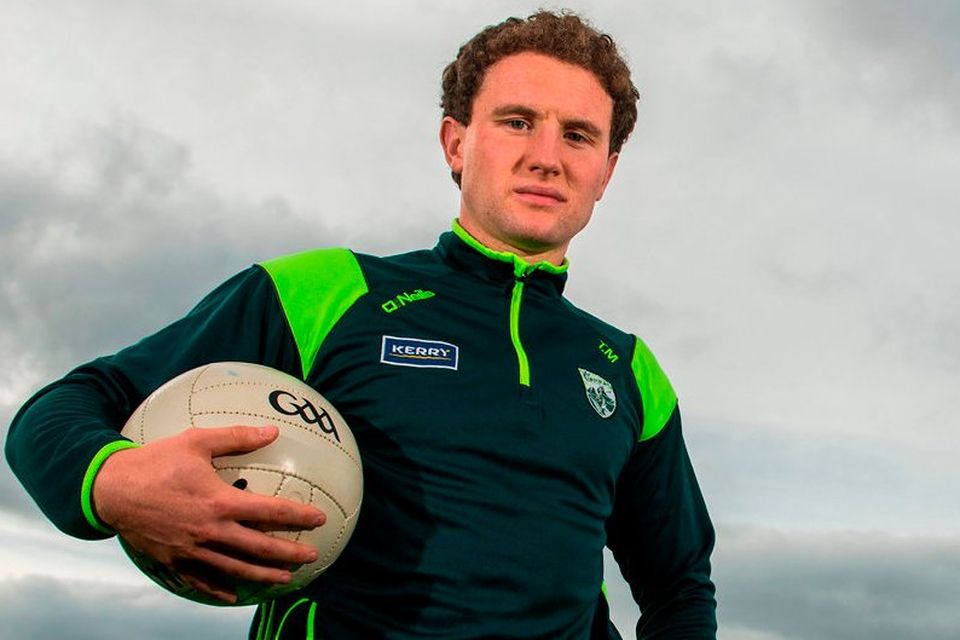 'It's just about getting stuck in' - Morley | Irish Independent