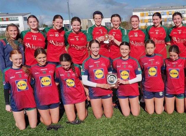 Sevens success for Gorey Community School | Irish Independent