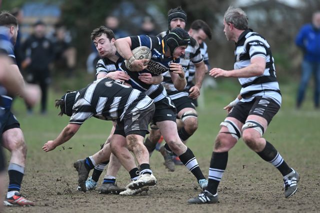 Dundalk RFC save the best ’til last to win and avoid relegation play ...