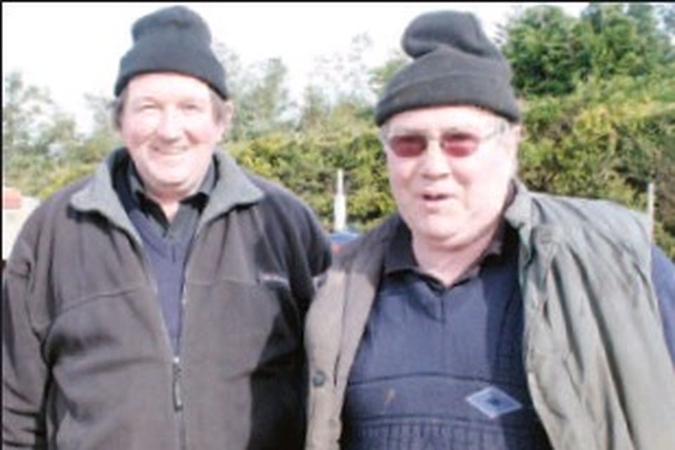 Great crowd at day of ploughing at Listerlin | Independent.ie