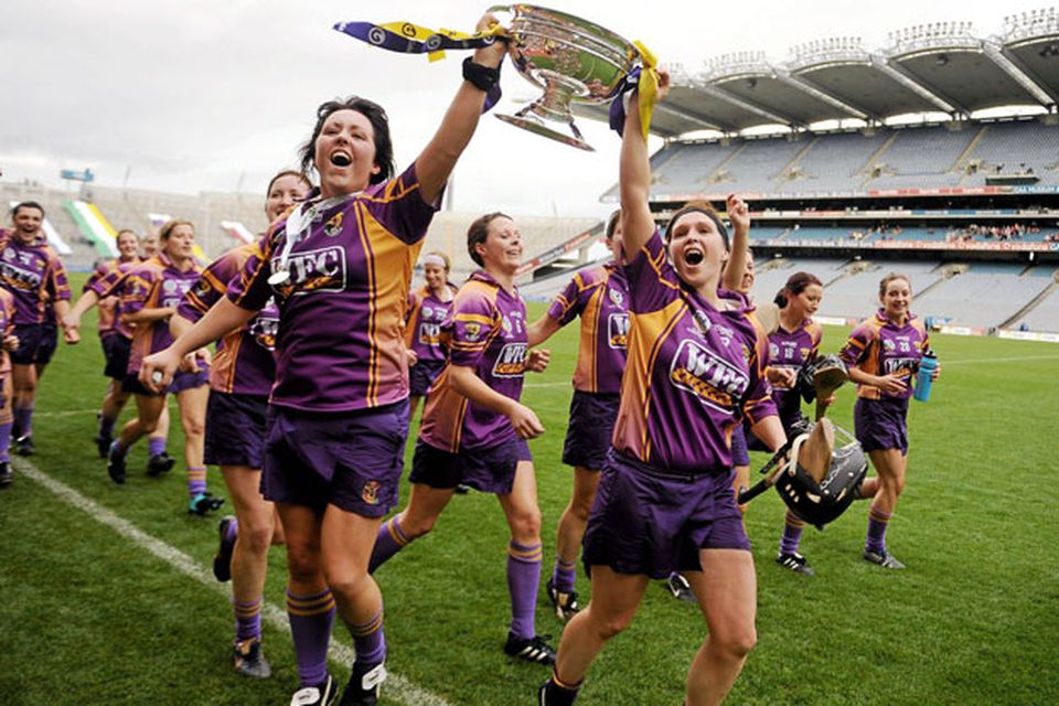 Leacys keep it in family as Wexford take the title | Irish Independent