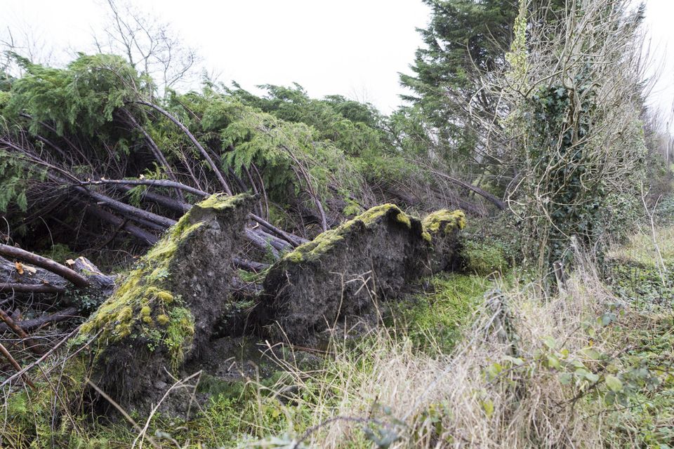 The ferocious storm took us by surprise | Irish Independent
