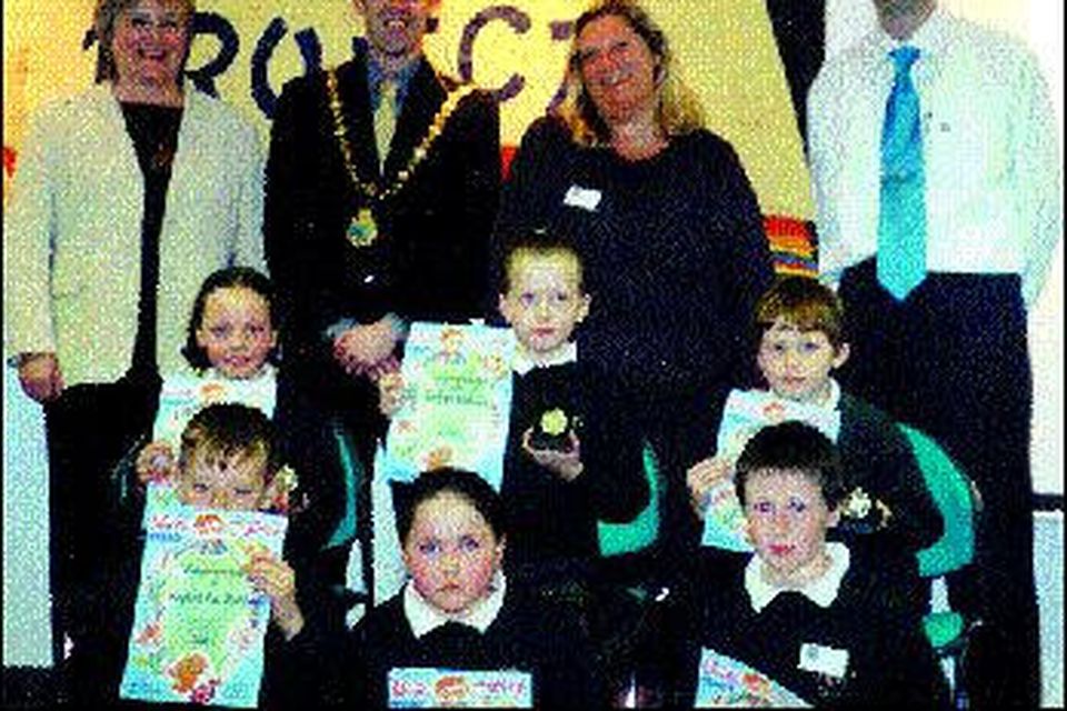 Young authors honoured in Write-a-Book project awards | Irish Independent