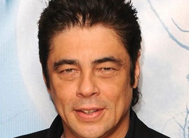 Del Toro to star in Jimmy Picard? | Irish Independent