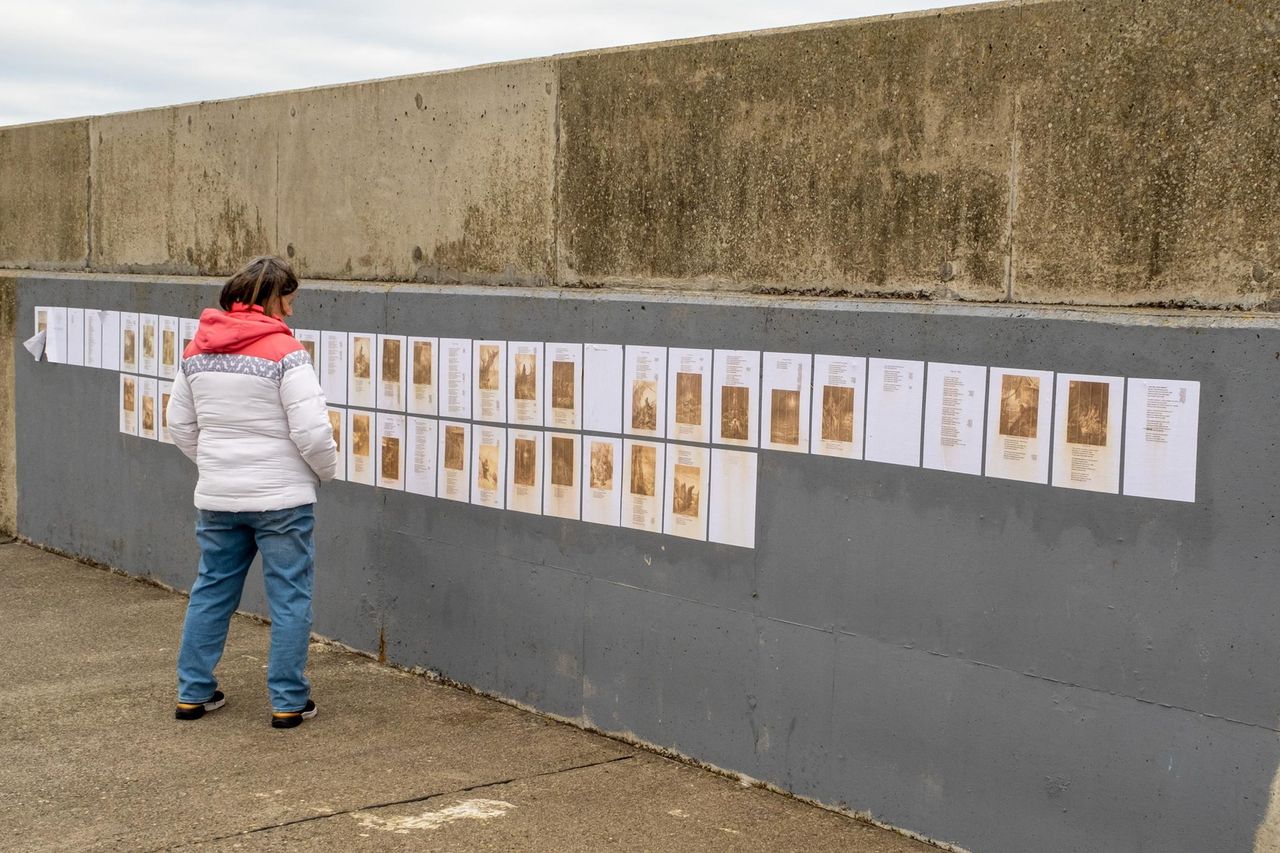 Giant seagull mural on Bray pier to be painted over | Irish Independent