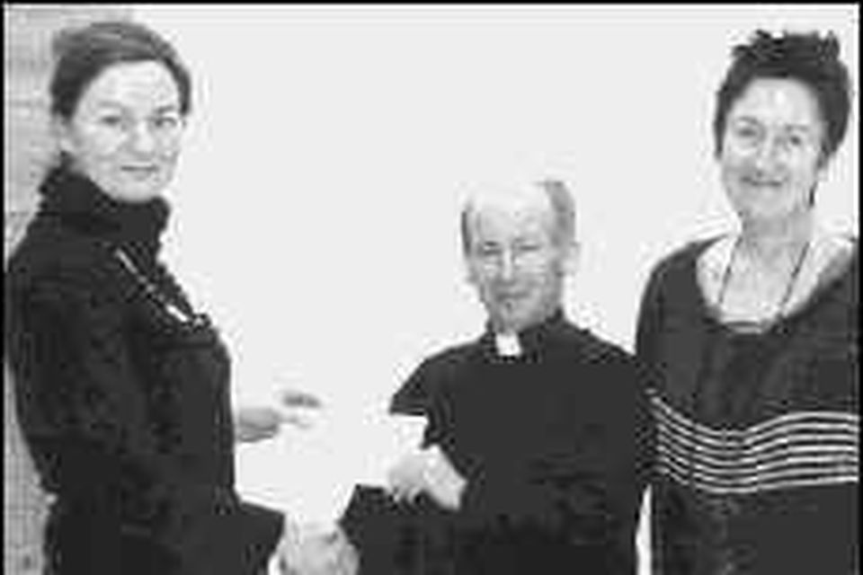 Fruits of Christmas campaign | Irish Independent