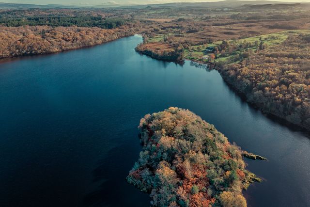 Mixed emotions after controversially disbanded Coillte Nature wins ...