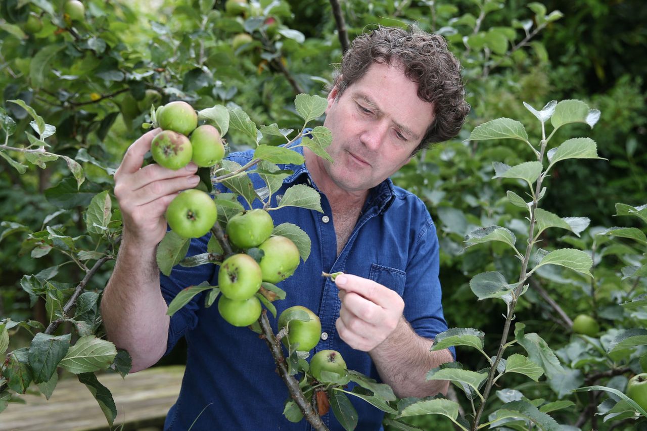 In Pictures: Peek inside Irish garden designer Diarmuid Gavin's own ...