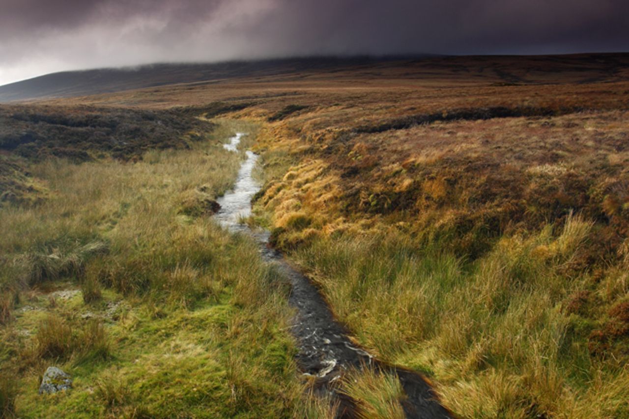 Garden County: 13 photos to make you wonder at Wicklow all over again ...