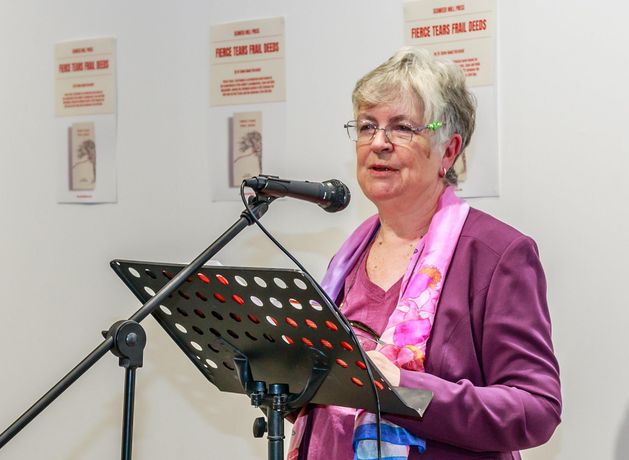 The fight for Irish Independence portrayed in new historical novel ...