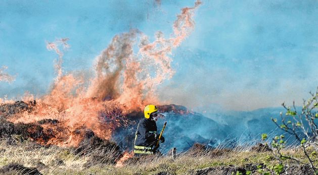 Rare Red forest fire warning issued | Irish Independent