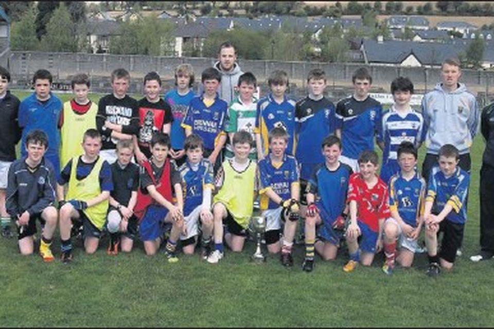 Shaping the future of Wicklow football | Irish Independent