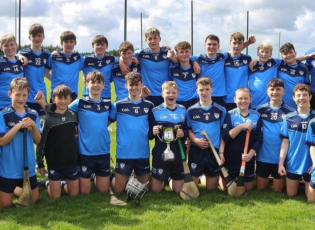 St. Anne’s, Buffers Alley and Geraldine O’Hanrahans win Slaney hurling ...