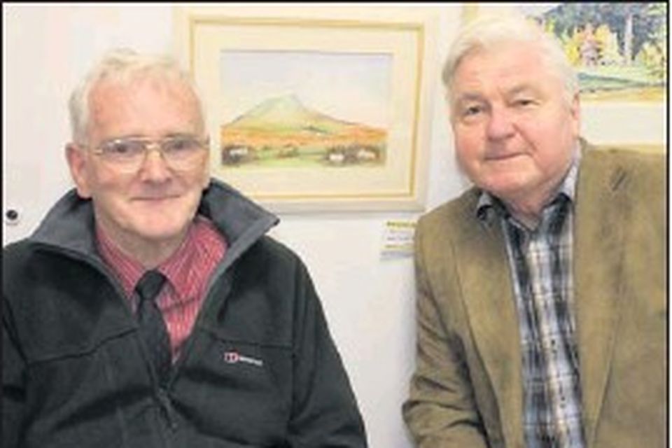RATHDRUM | Irish Independent
