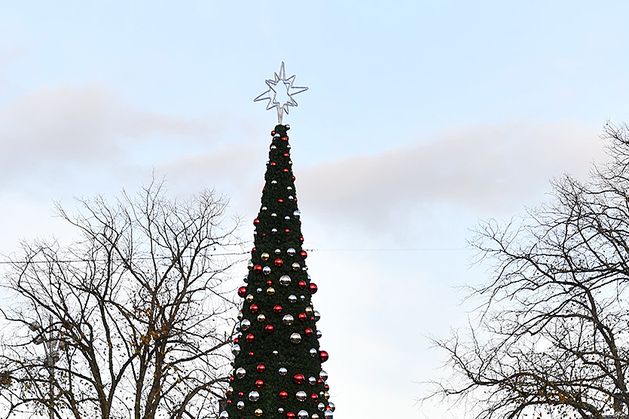 Dundalk’s new Christmas Tree is a star attraction | Irish Independent