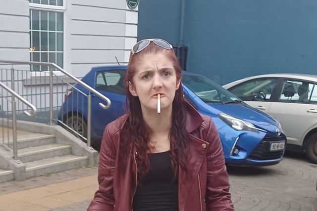 Westmeath woman’s foul-mouthed tirade at gardaí after she jumped on car ...