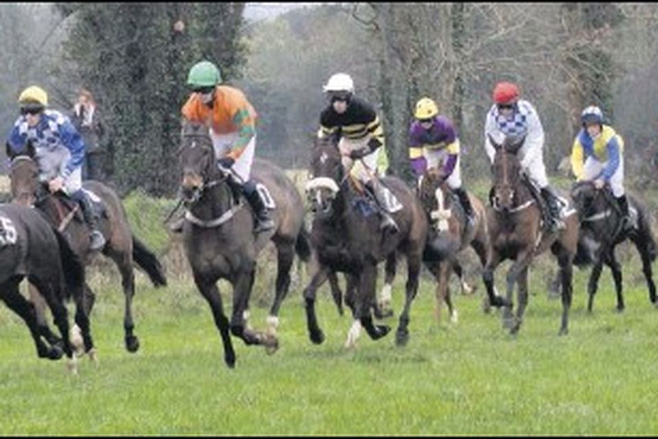 Foxhounds point to point comes home | Irish Independent