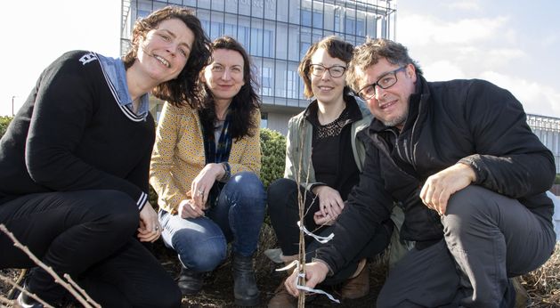 May Bush Festival takes root | Irish Independent
