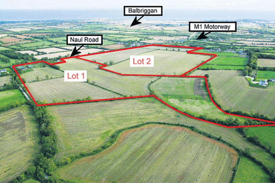 Dublin farm stirs Northern interest | Irish Independent