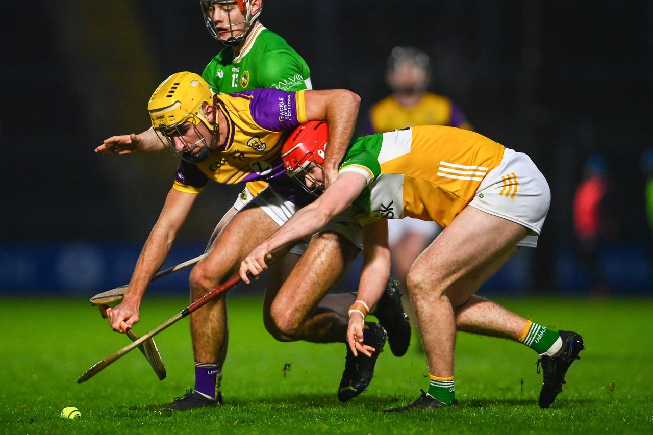 Thirteen-man Wexford rescue a point against Offaly | Irish Independent