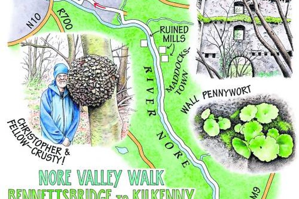 Walk of the Week: Nore Valley Walk, Co Kilkenny | Irish Independent