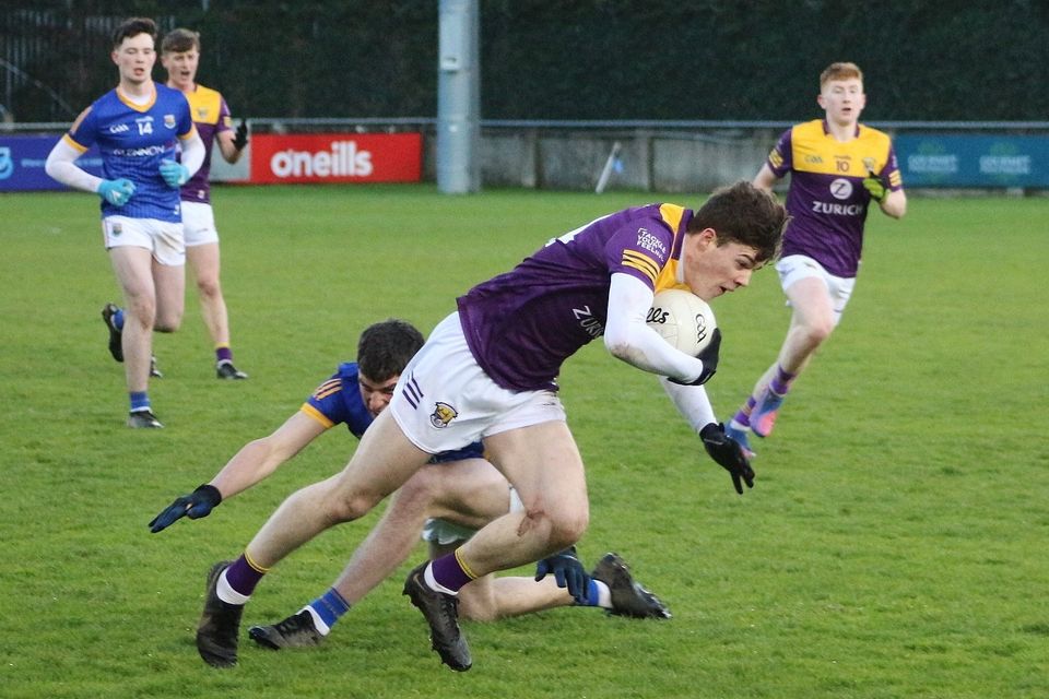 Wexford fall at first hurdle | Irish Independent