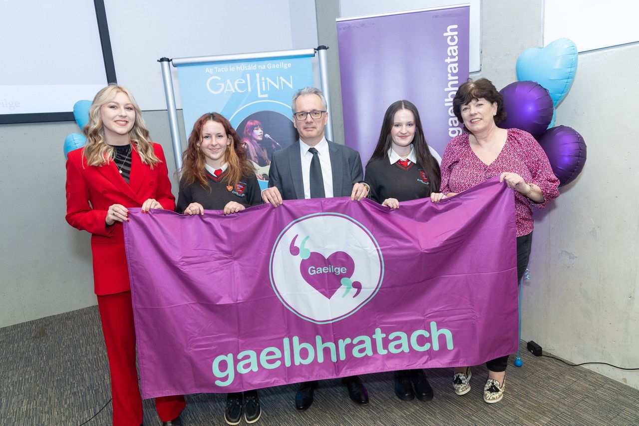 Meánscoil Gharman flies Wexford flag at national ceremony | Irish ...