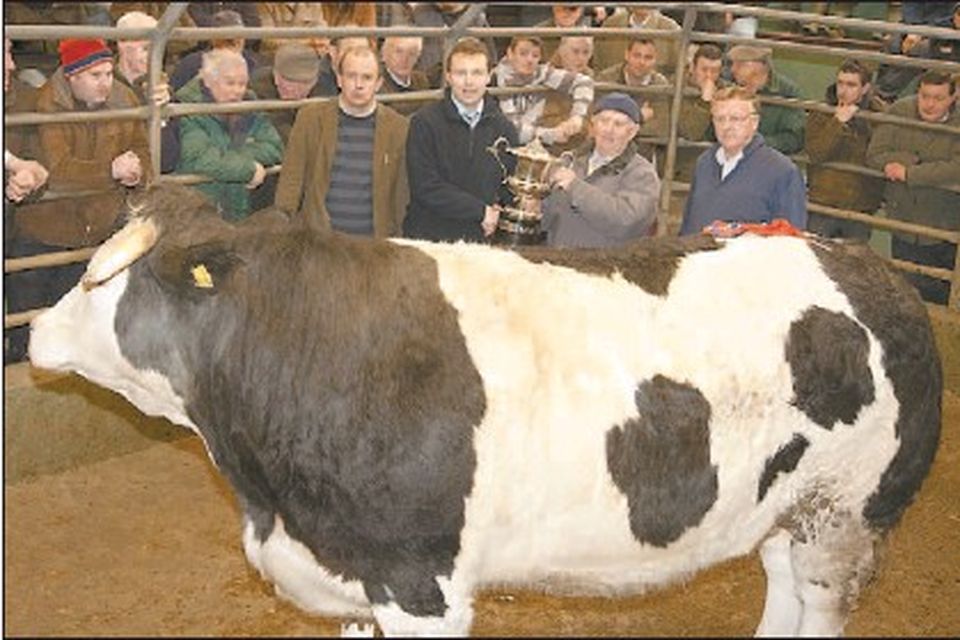 MUNSTER FARMER: Farmers' production costs 'must be reduced' | Irish ...