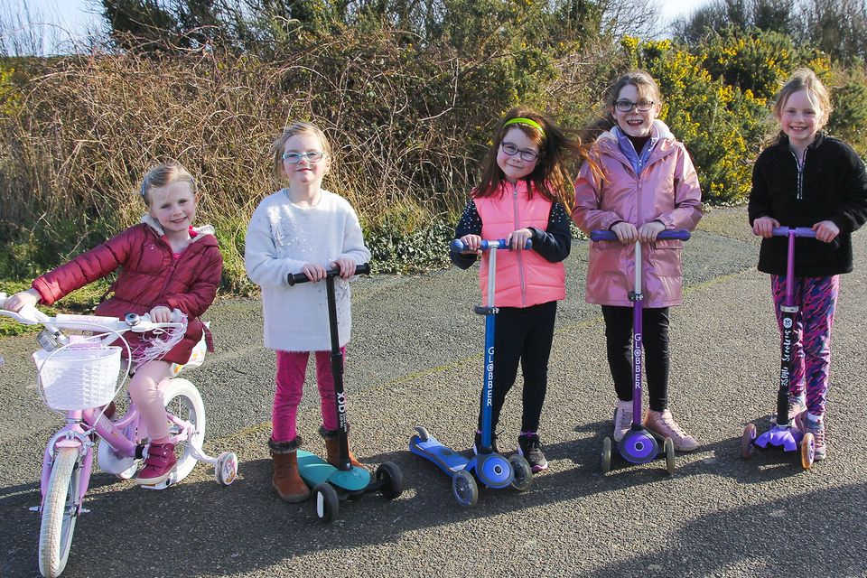 Around the Districts: Annacurra, Carnew, Donard, Shillelagh and ...