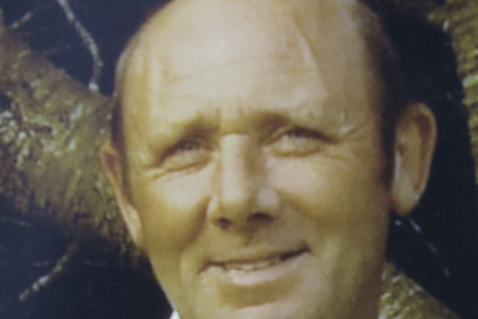 Worker died when dumper truck he was driving flipped over | Irish ...