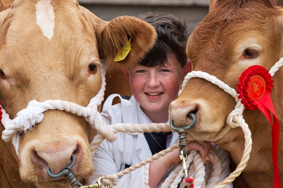 Beef breeds take the big prizes in Cork | Irish Independent